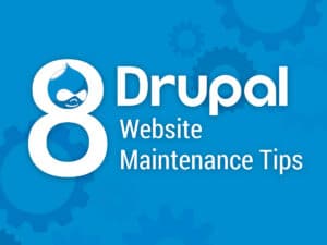 8 Drupal Website Maintenance Tips - Skynet Technologies