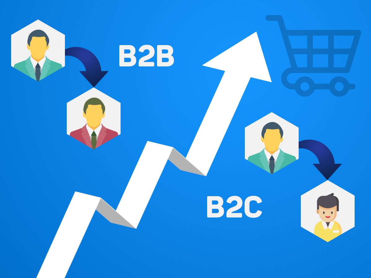 B2B & B2C Ecommerce Solution – Skynet Technologies