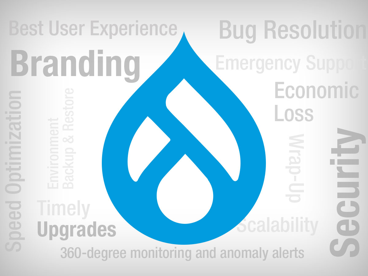 Drupal Support and Maintenance - Skynet Technologies