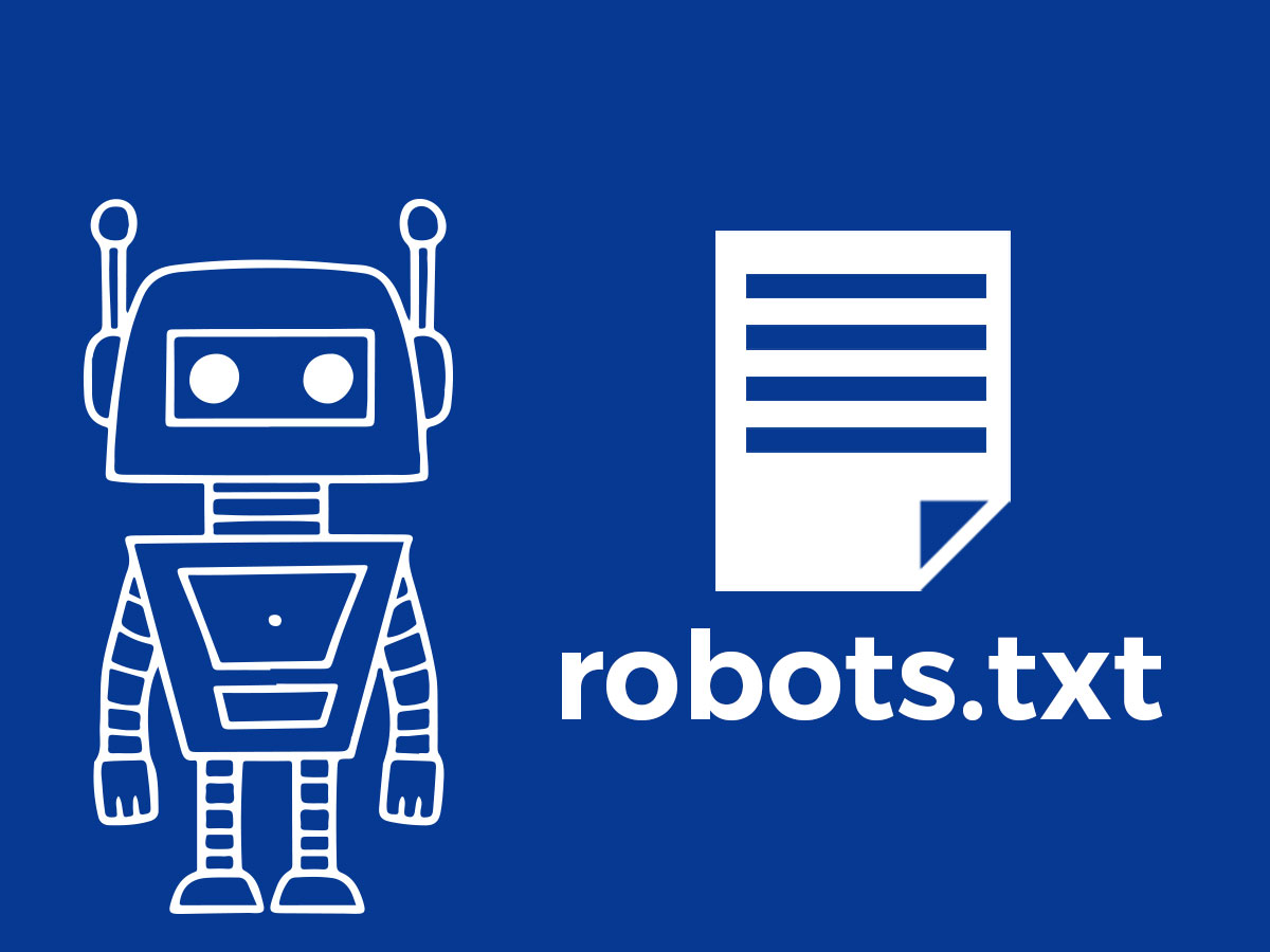 SEO Robot txt Robot txt File For SEO Skynet Technologies