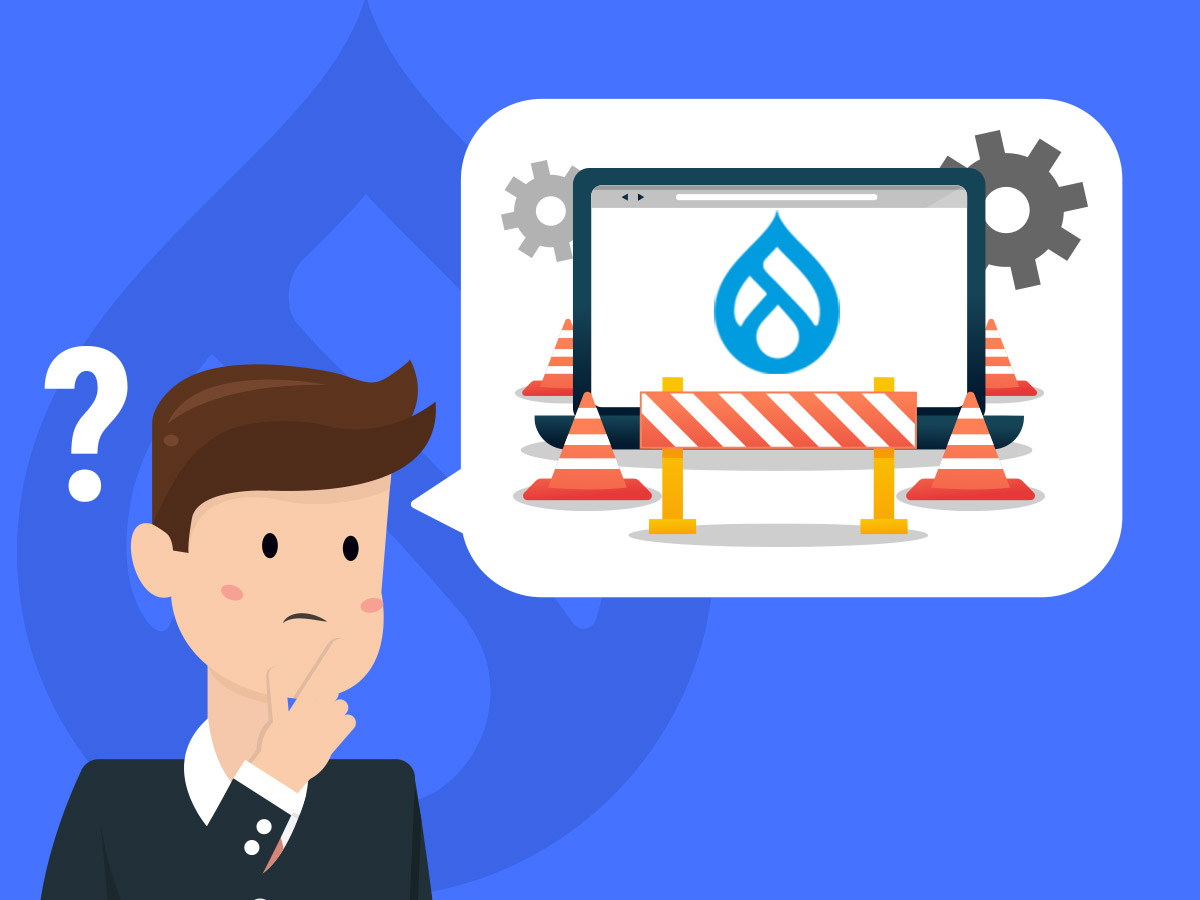 Drupal Maintenance Plan - Skynet Technologies