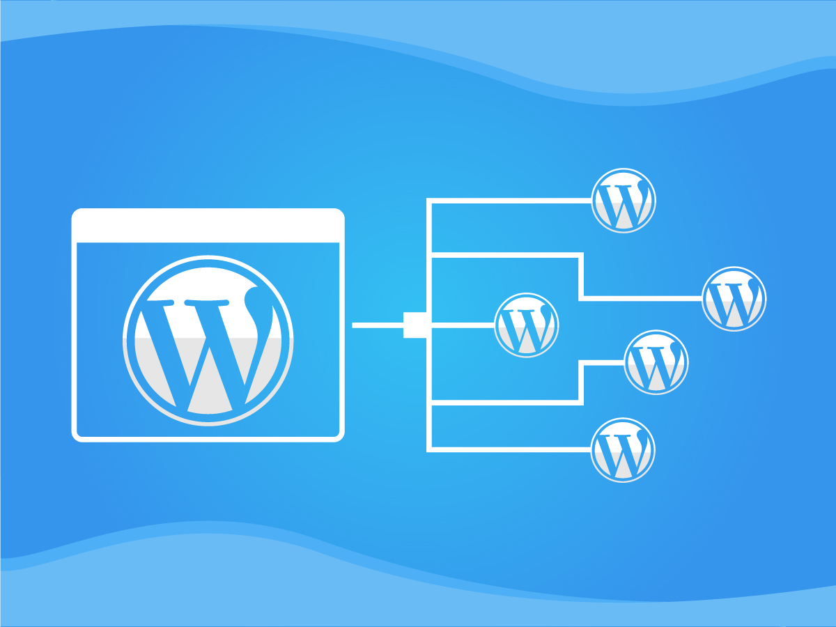 WordPress Single Site to Multisite - Skynet Technologies